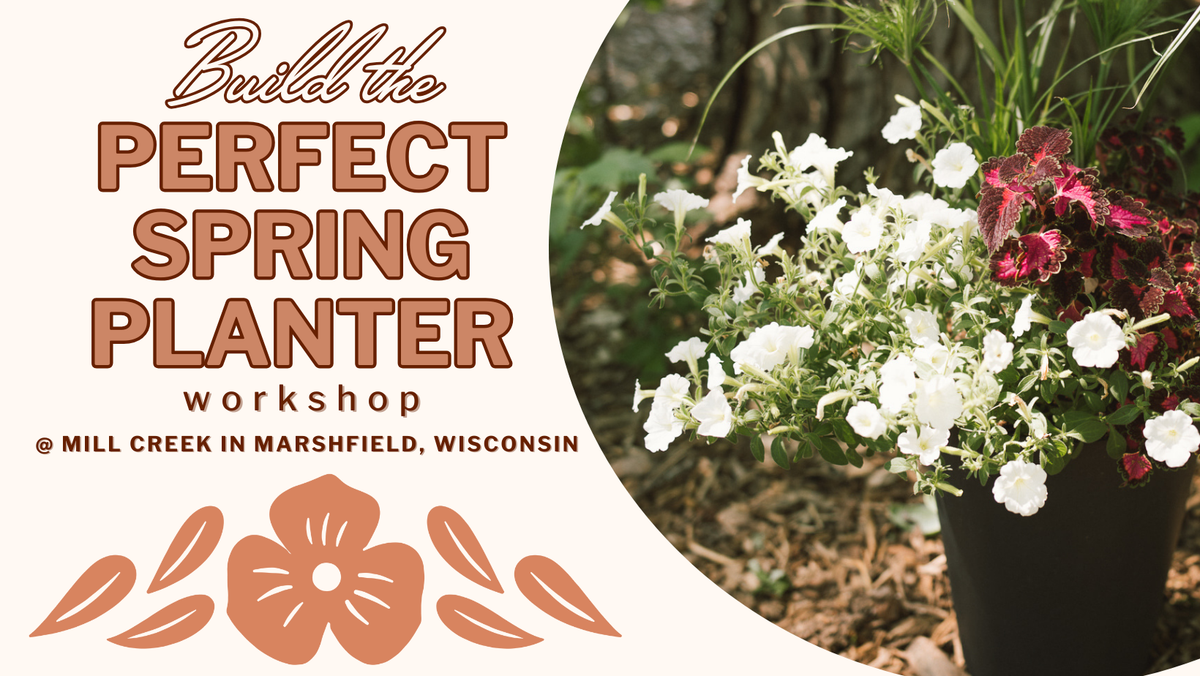 Build the Perfect Spring Planter – Mill Creek Gardens